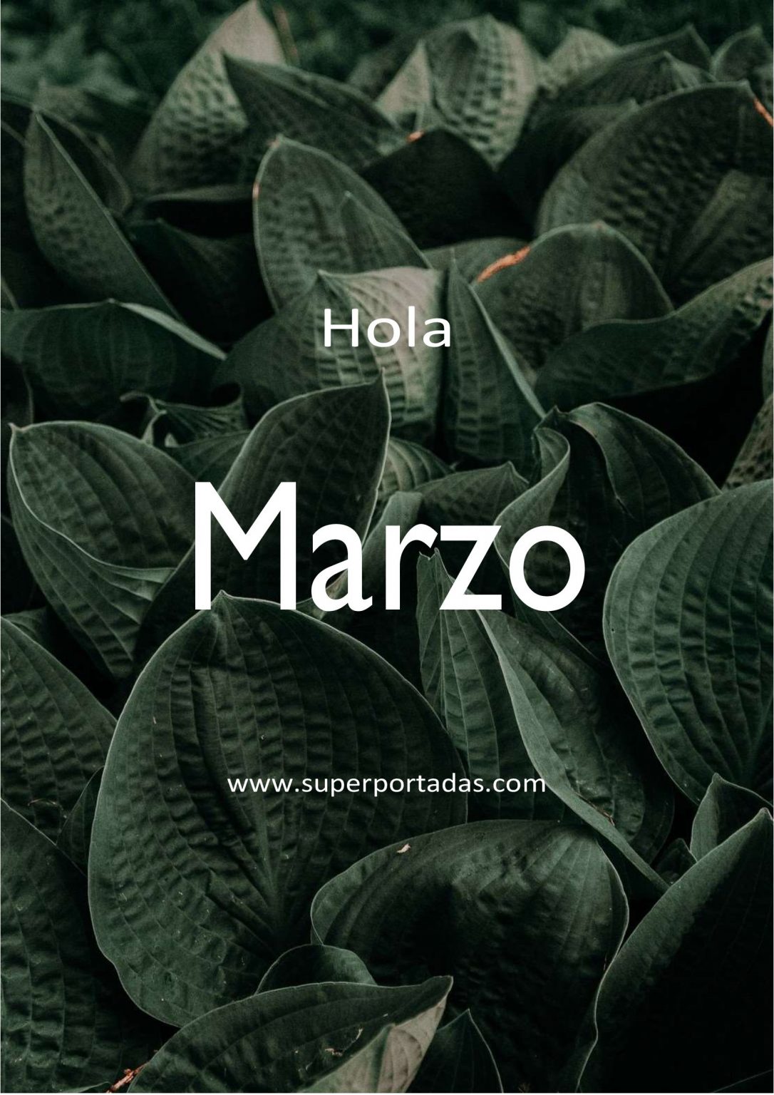 Portadas de Marzo » Las mejores descargas de 2026